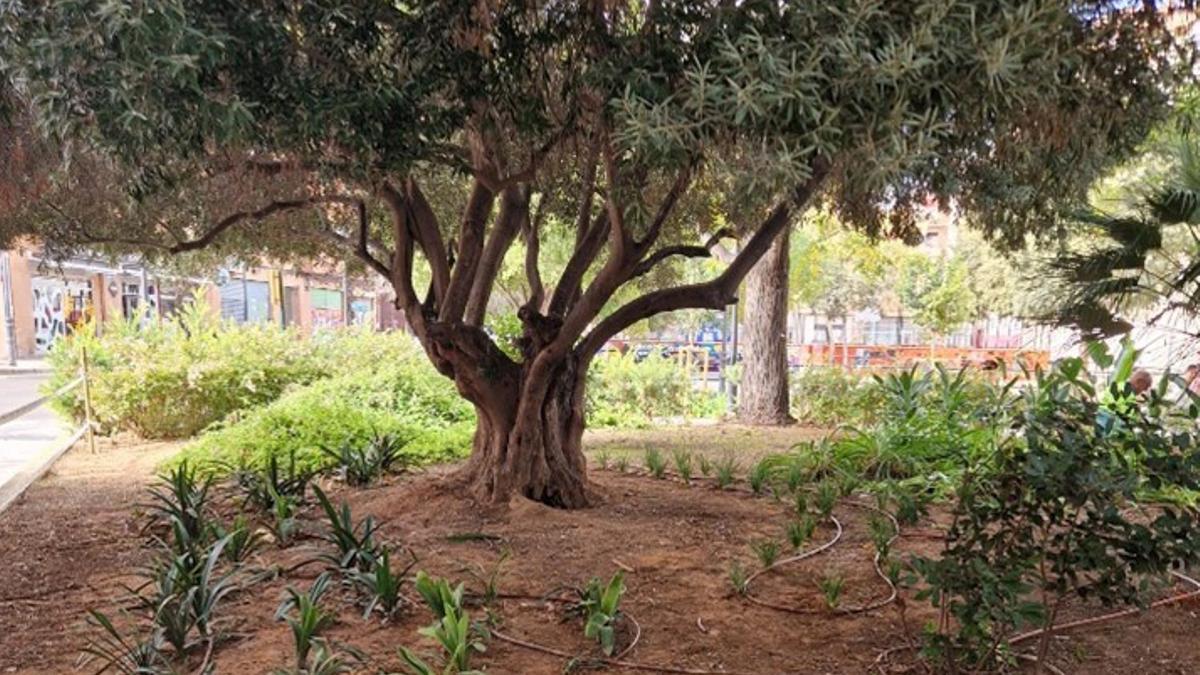 València renueva los jardines de Torrefiel y Benimaclet