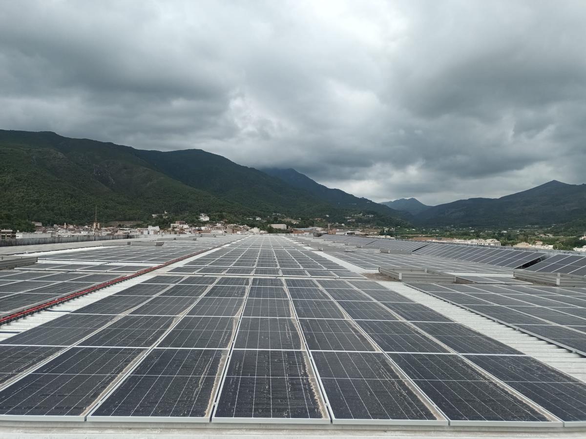 Vicky Foods avanza en su plan de autoconsumo energético tras invertir 2 ...