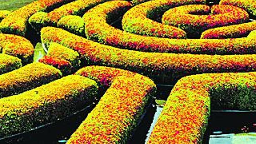 Geometría pura para descubrir las raíces del jardín