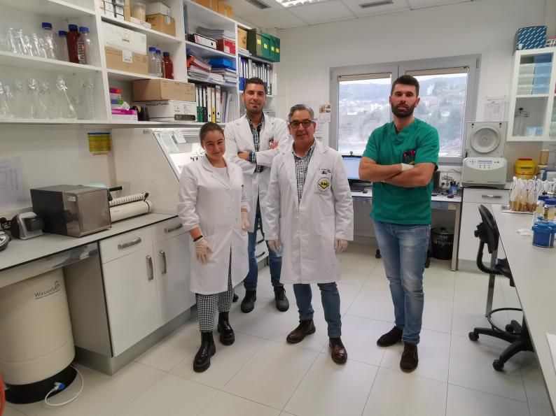 SGS DESEMBARCA EN BUEU: La multinacional SGS elige Bueu para su primer ...