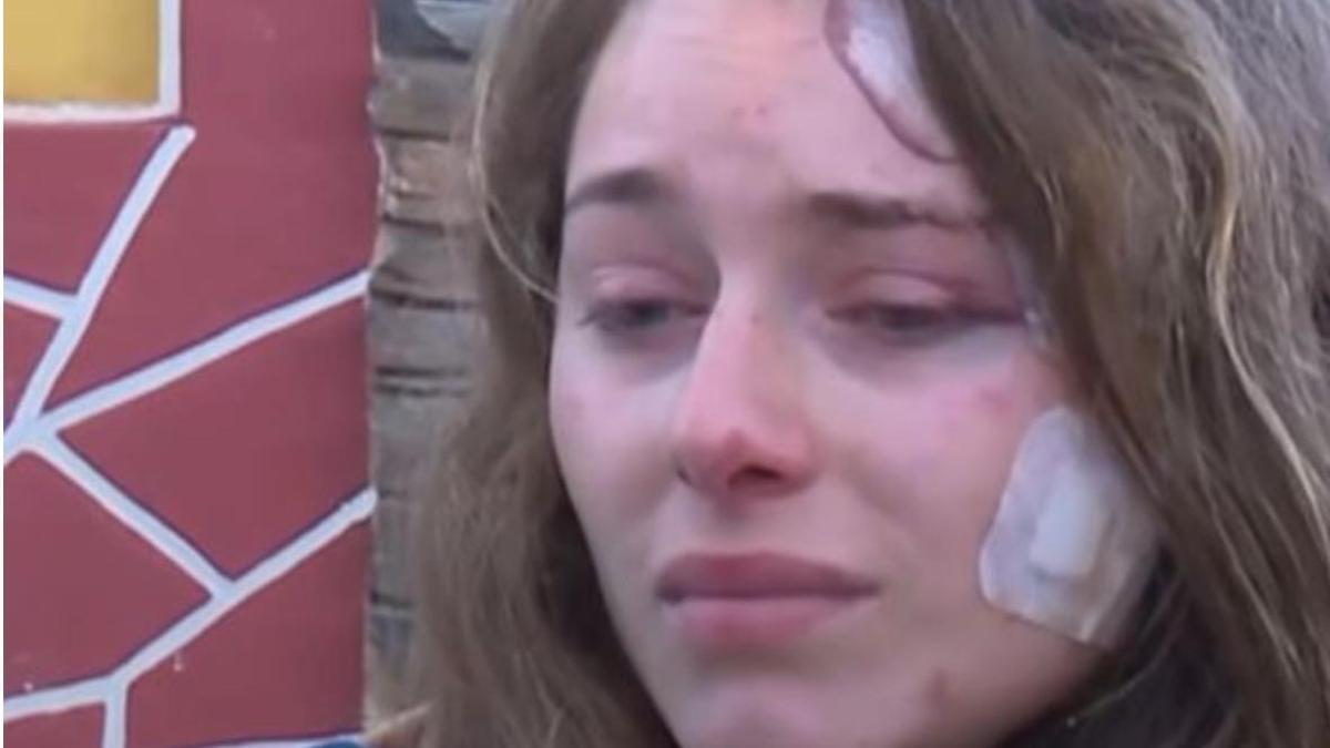 PACMA pide autorización urgente para rescatar al perro desaparecido ...