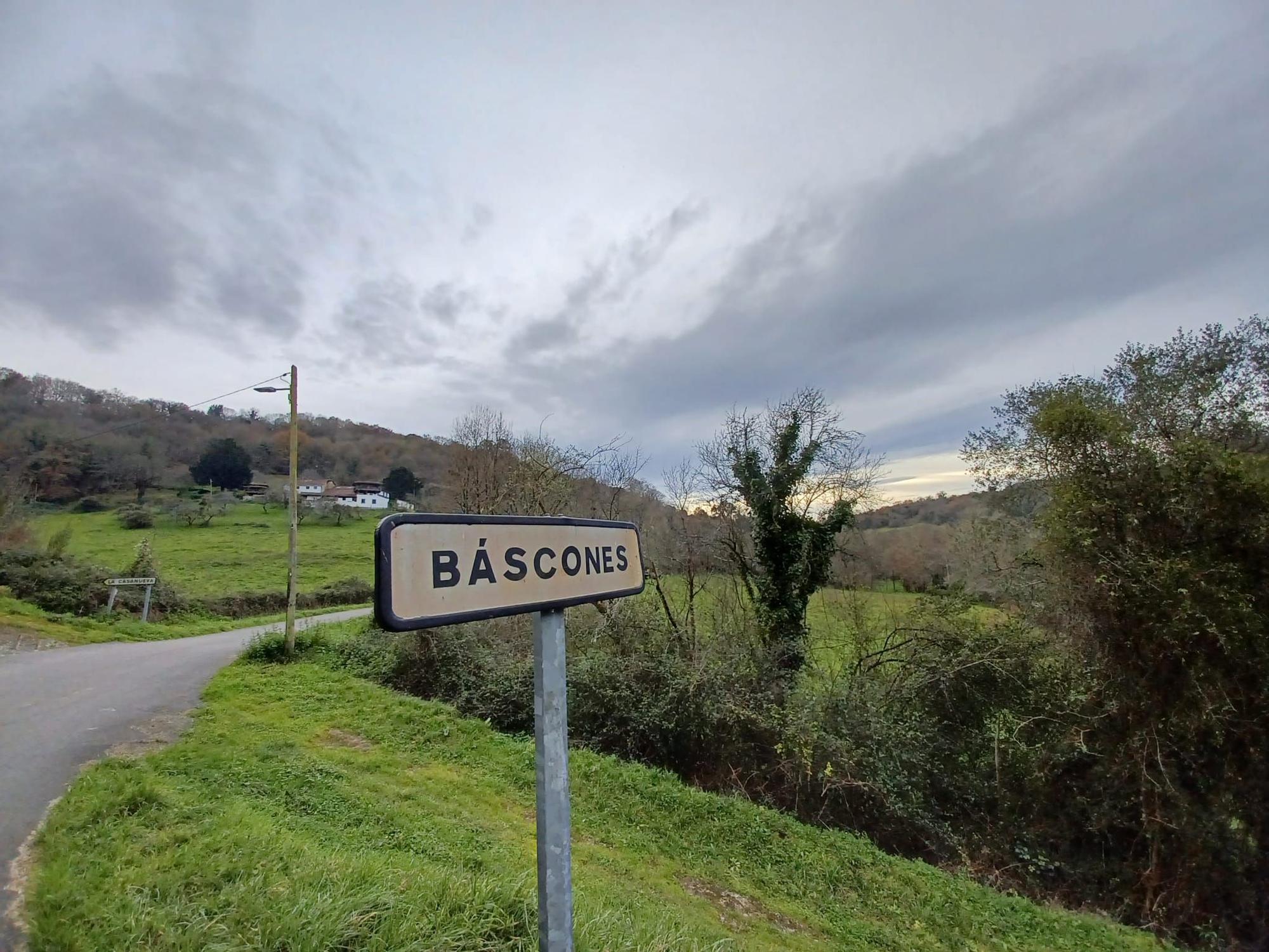 La ruta del bosque viejo de Báscones, un baño de historia y naturaleza ...