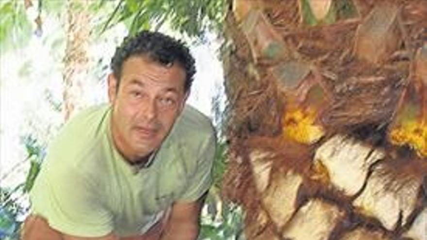 “El picudo está controlado en Israel con perros adiestrados”