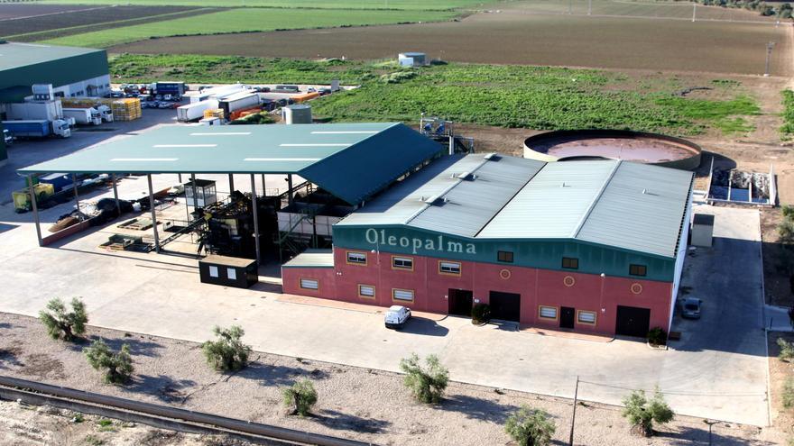 Oleopalma transformará en olivar ecológico 400 hectáreas