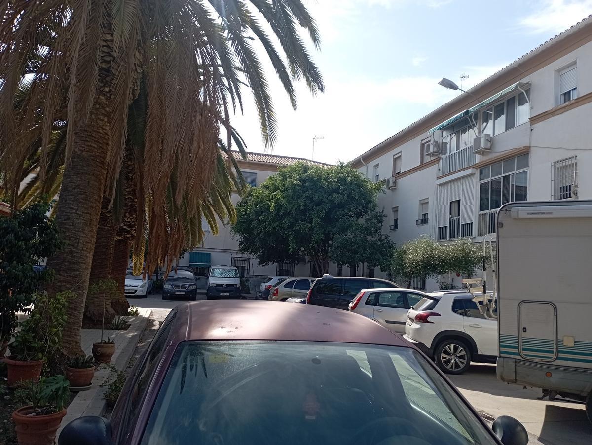 Dos años de quejas: Árboles con ratas en la barriada de Girón