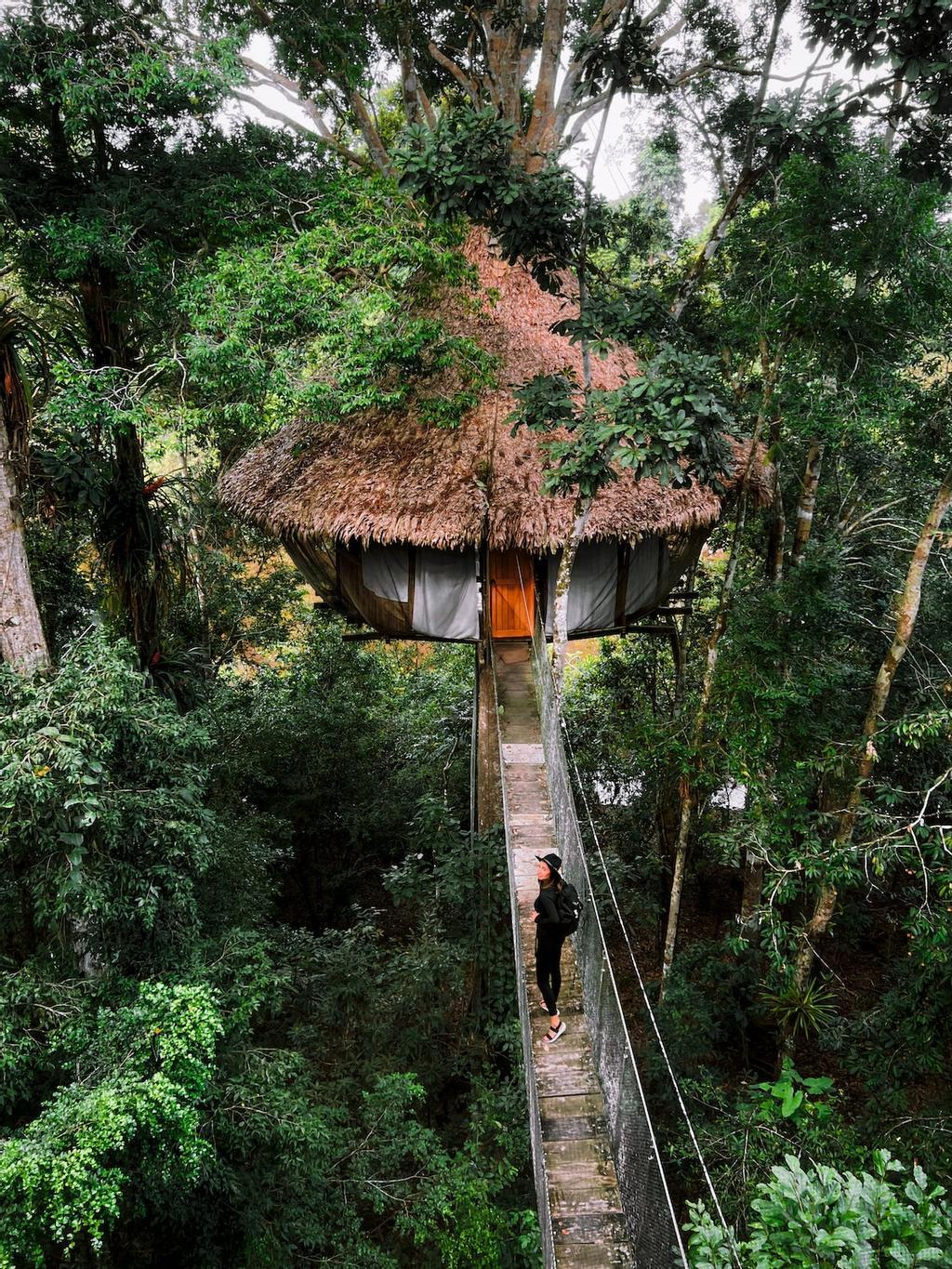 Hoteles en Amazonía: dormir en el pulmón de la Tierra - Viajar