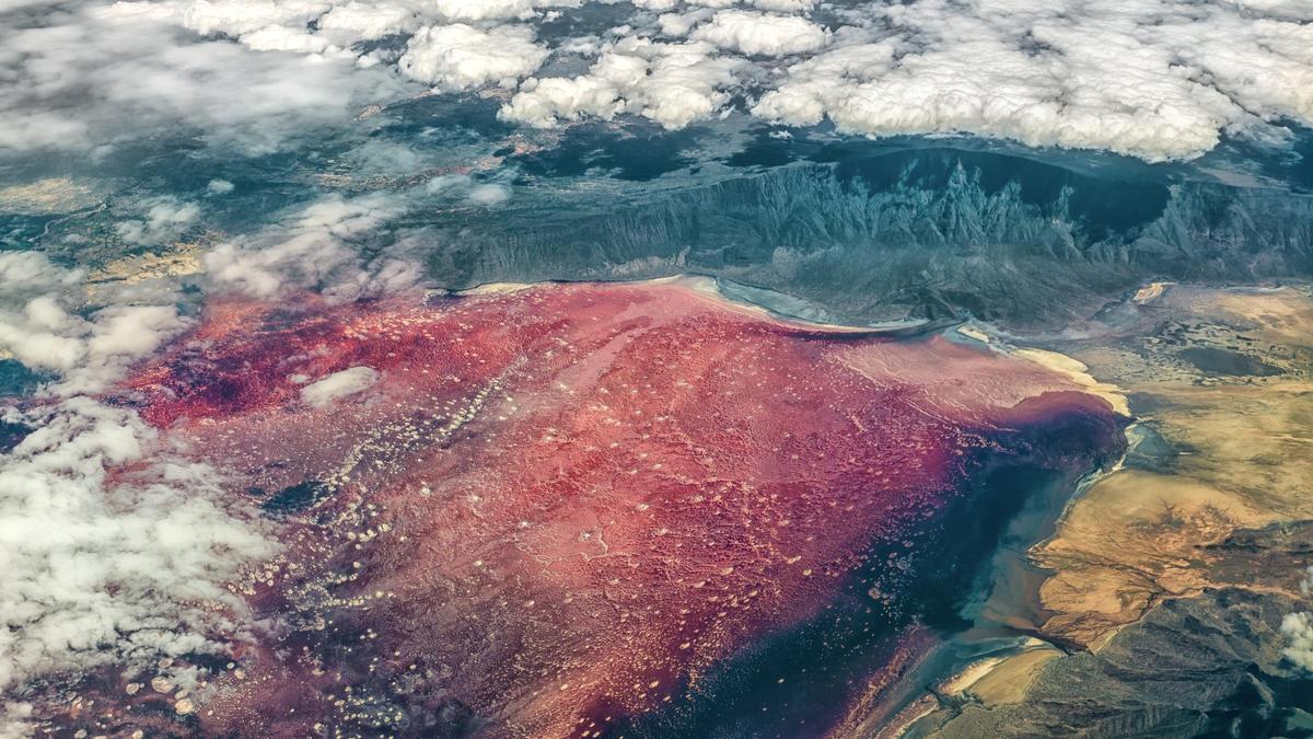 LAGO TANZANIA | El lago Natrón de Tanzania: tan bello como peligroso