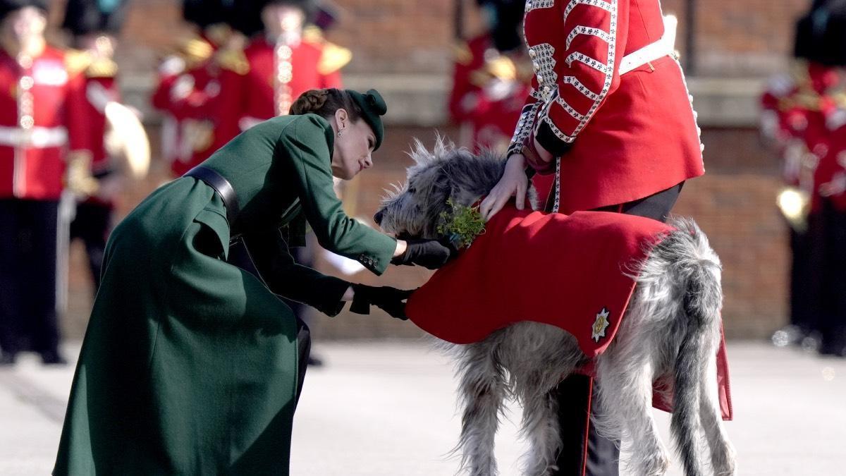 Kate Middleton se derrite con un perrito en su visita a la Guardia ...