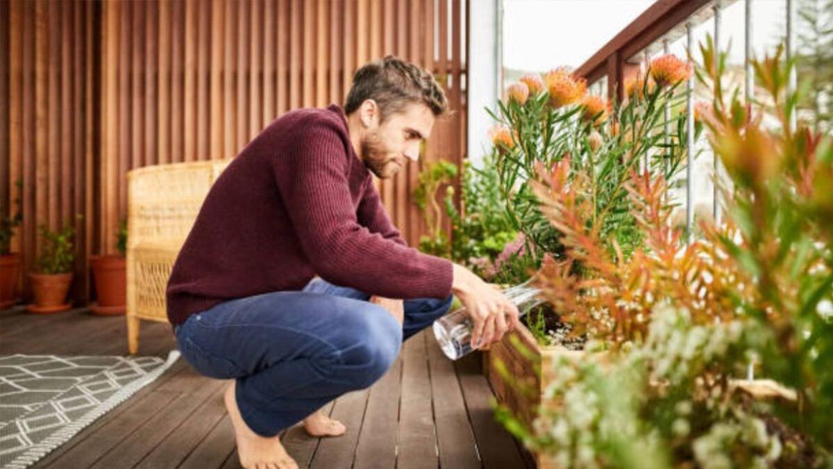 Descubre el "Puttering": El hábito diario que cultivan las personas con ...