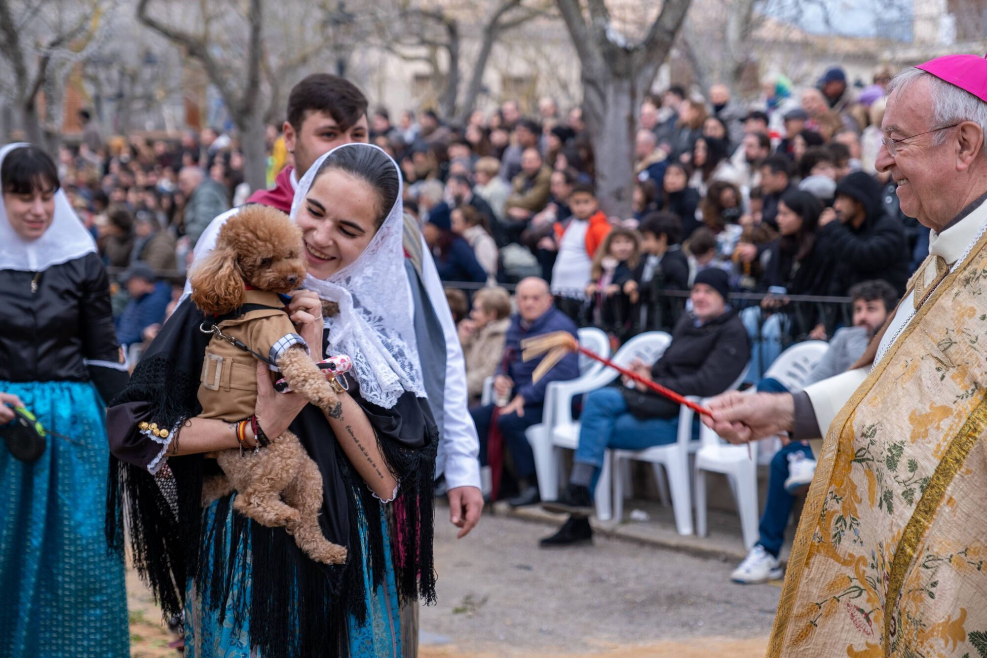 So eindrucksvoll waren die Tiersegnungen zu Sant Antoni 2026 in Muro ...