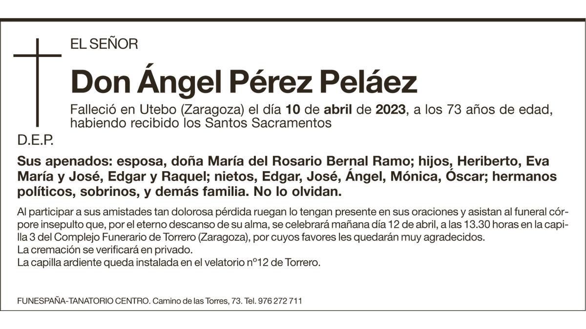 Ángel Pérez Peláez