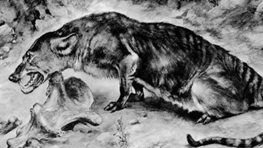 Ankalagon saurognathus/ Homenaje a un coloso - Información