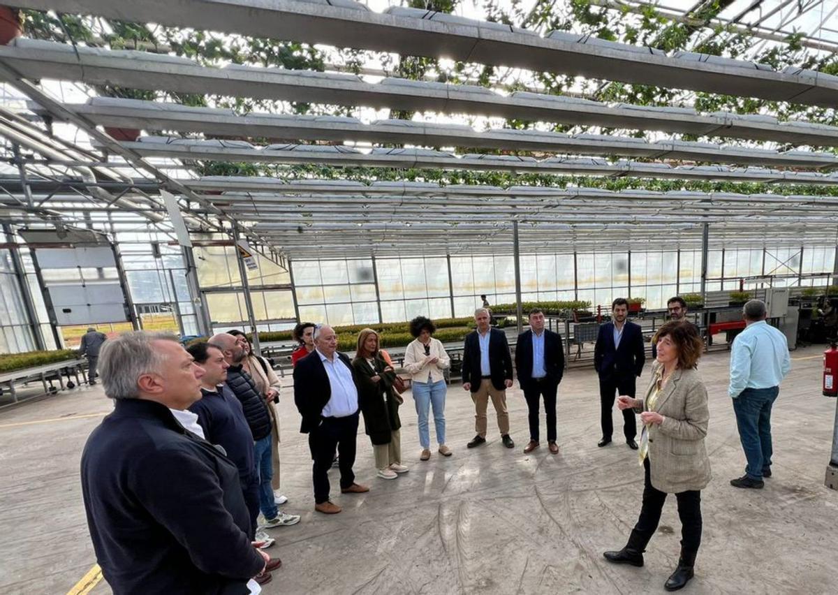 Autoridades de la comarca de A Ulloa visitan la planta Celbi de Altri ...