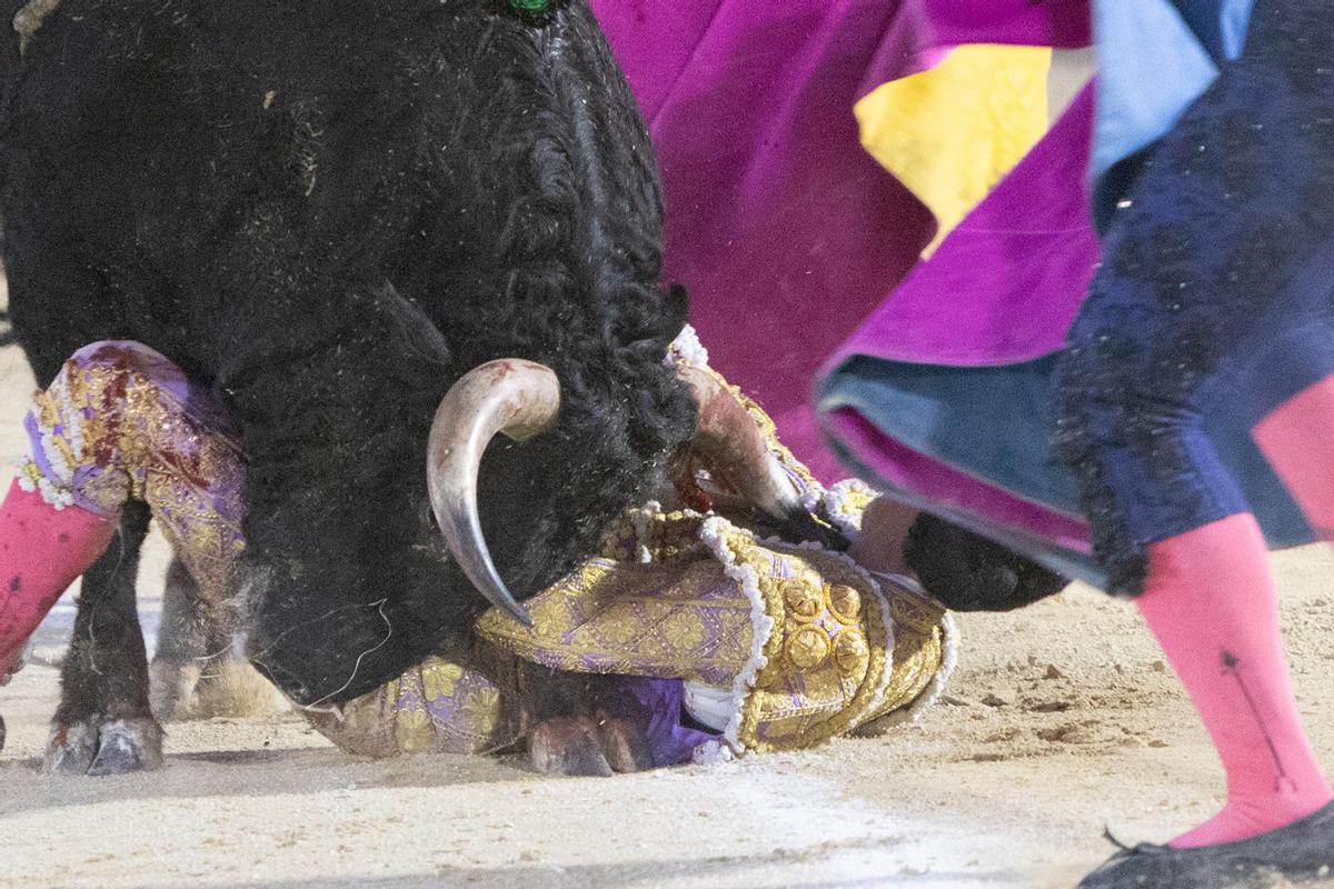 César Pérez Calasparra | El torero César Pacheco, entre la vida y la ...