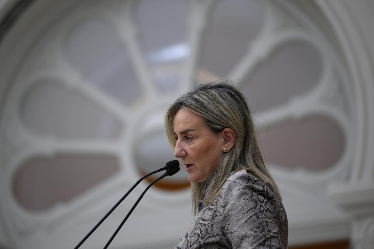 "Fininfluencers", criptoactivos y pagos digitales suenan a chino a los ...