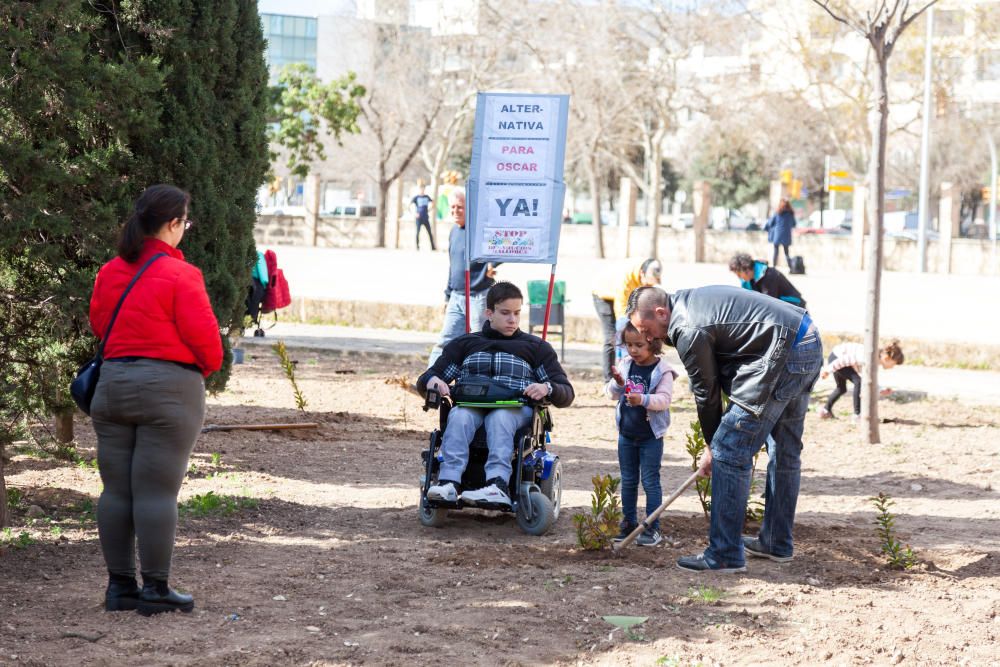 Más vida y color en el parque Krekovic de Palma - Diario de Mallorca