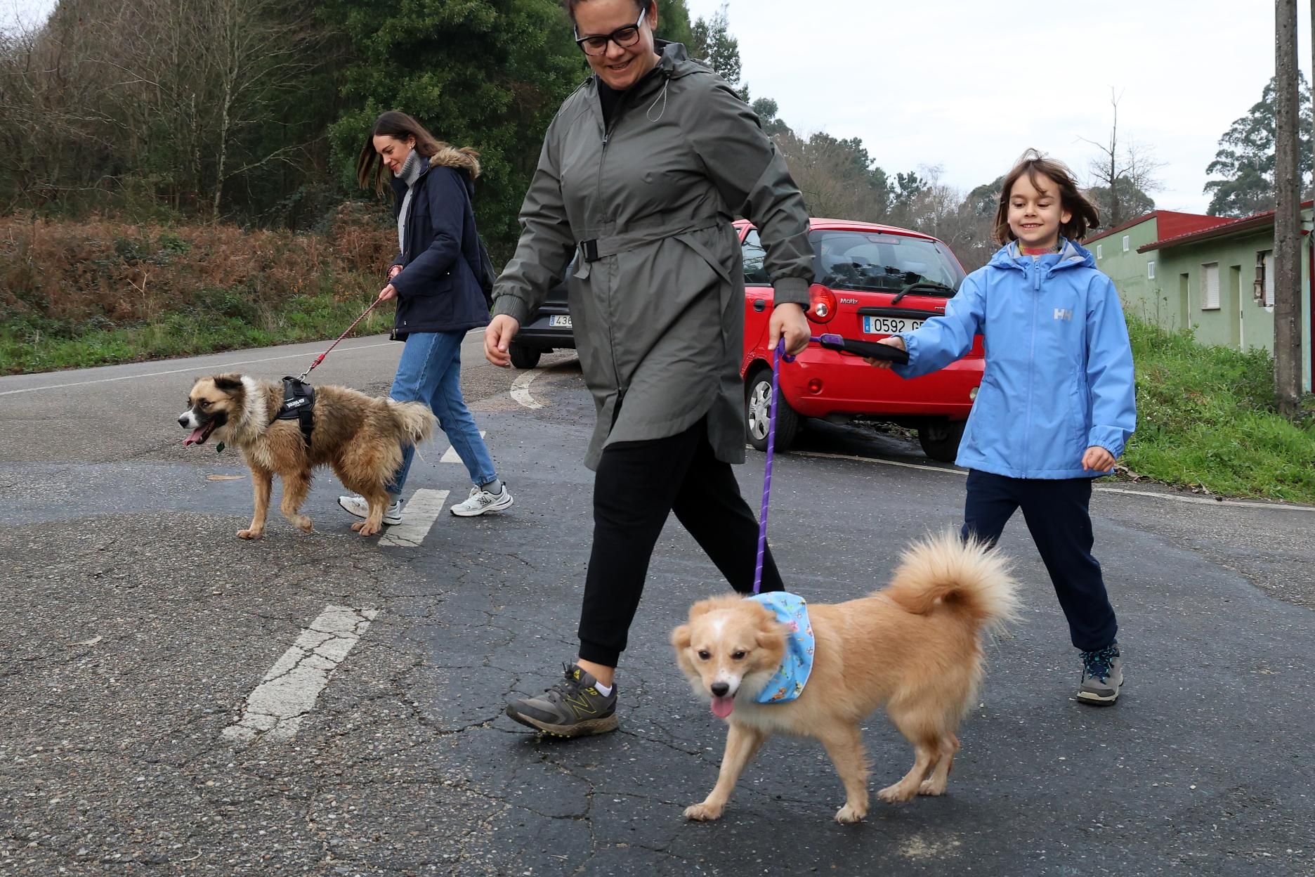 PASEO DE PERROS PERRERA VIGO: Un paseo de esperanza para los perros de ...