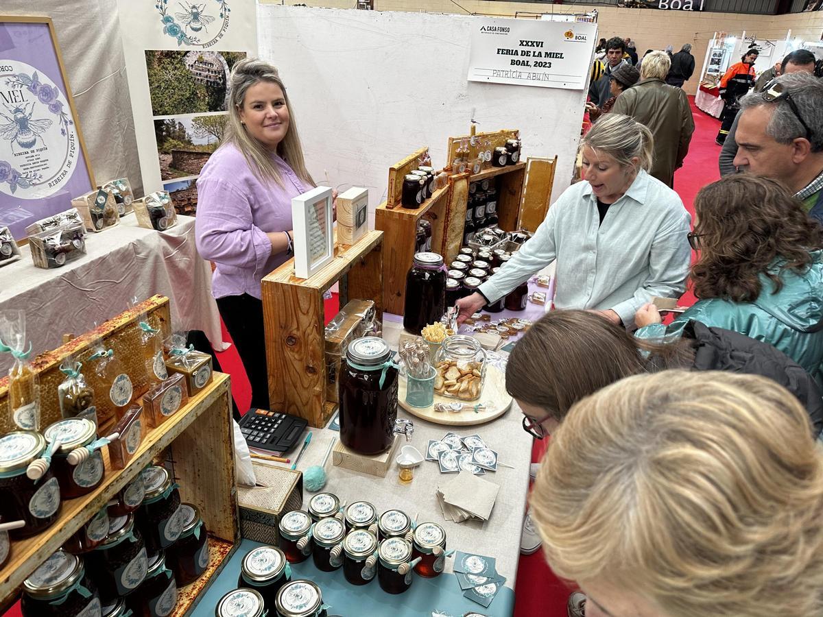 Los apicultores claman en Boal por los ataques de la avispa asiática ...