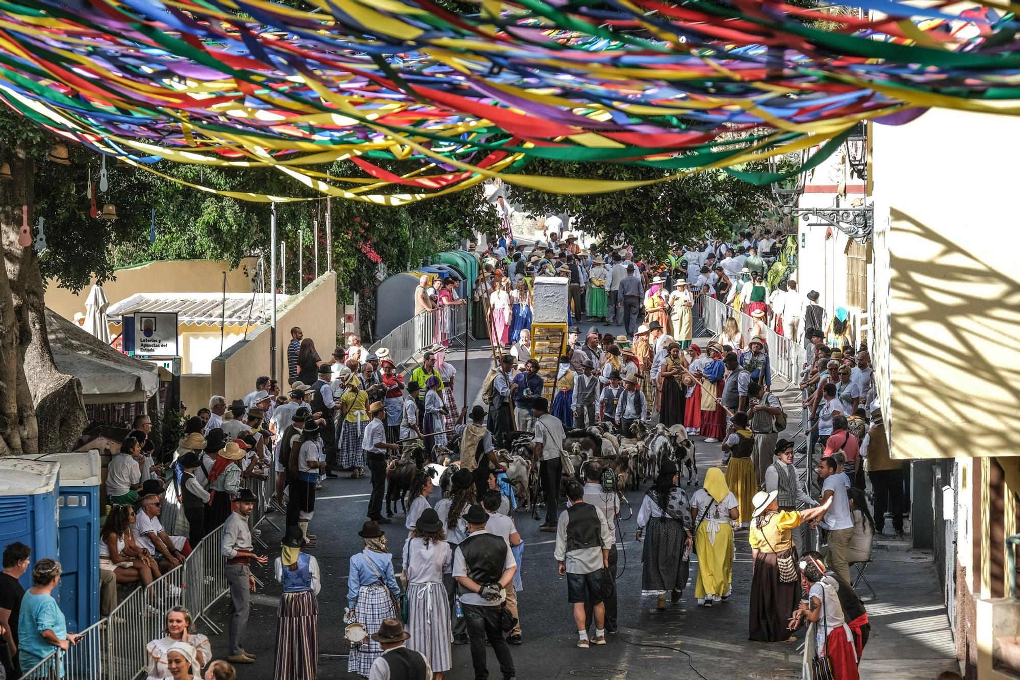 FOTOS: Romería-Ofrenda a San Antonio El Chico en Mogán