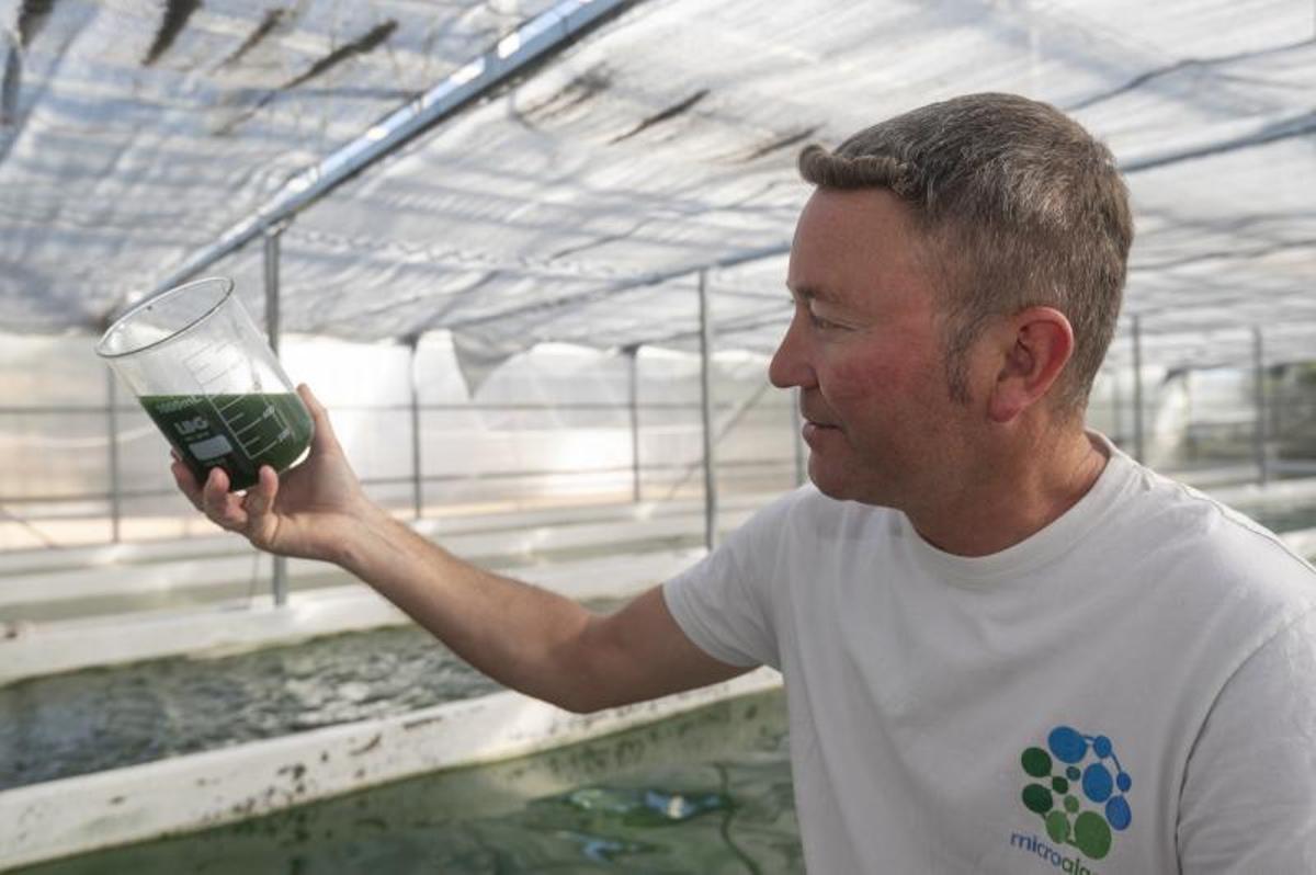 FOTOS | Microalgae Lab, la primera empresa en iniciarse en el cultivo ...