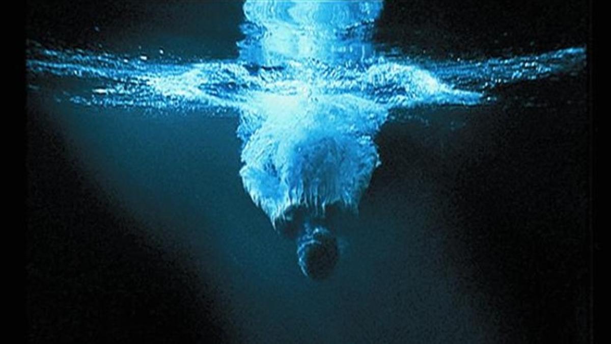 Diálogo con las artes truncado