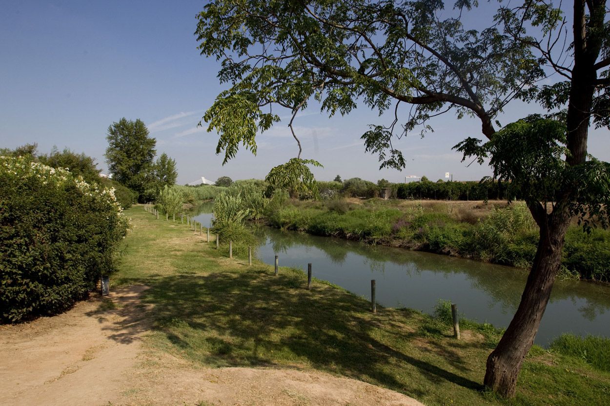 Un paseo por el Parc Natural del Túria