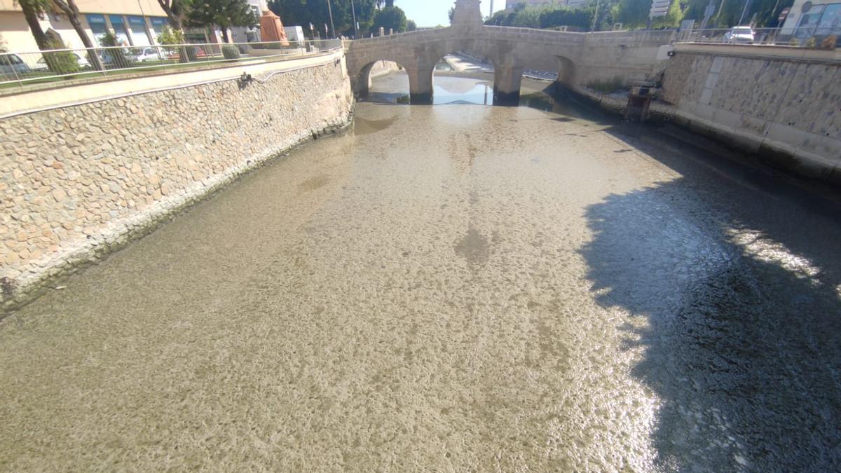 Así está el río Segura a su paso por Rojales