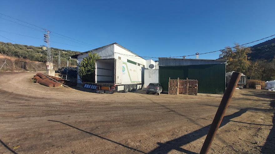 ALMAZARAS DE IZNÁJAR | Quintana Luque: dentro de un potente grupo