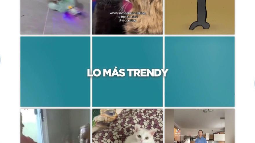 LED - Lo Más Trendy con Bea Carrascosa