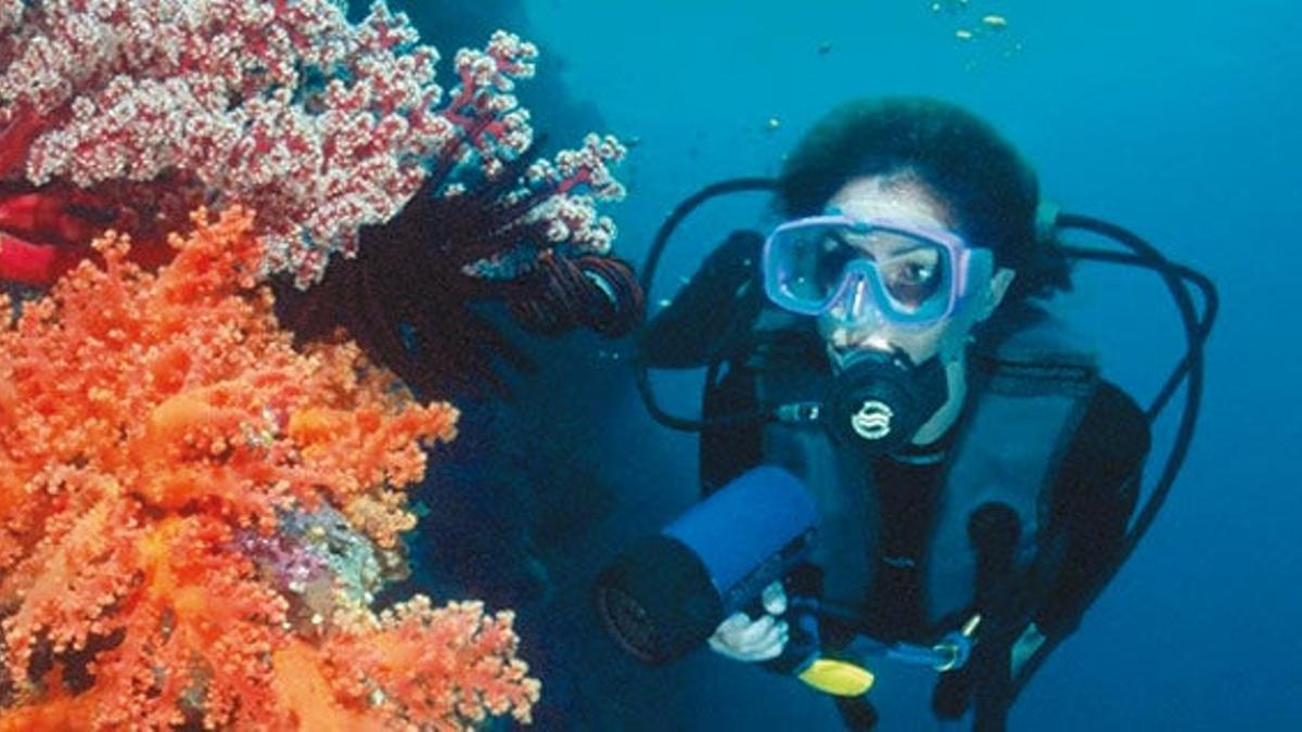 Ocho días en el exótico mundo submarino de las profundidades de Sharm ...