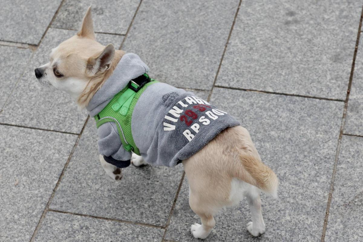 Invierno en Barcelona | FOTOS