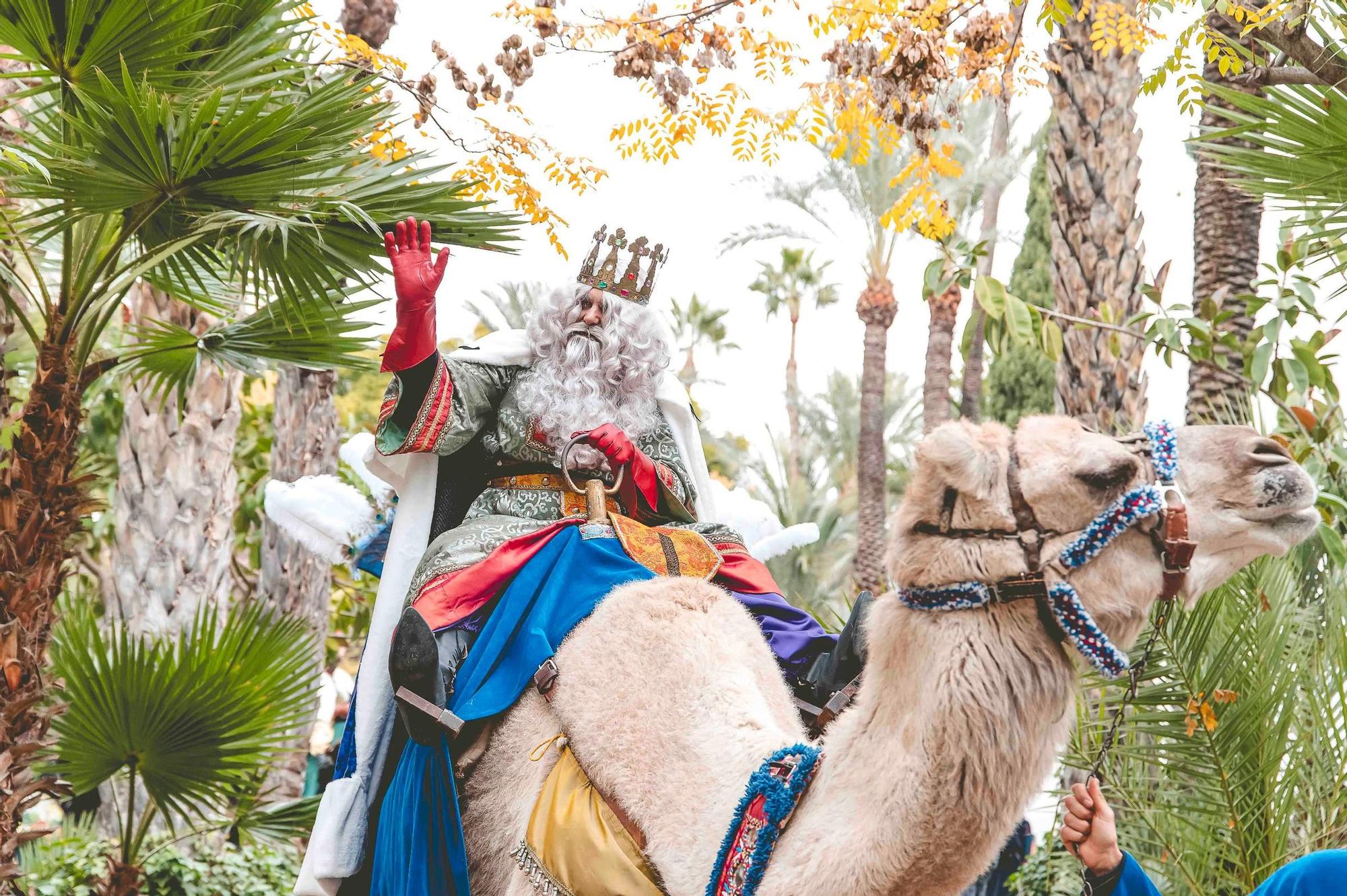Los Reyes Magos llegan en dromedario a Elche