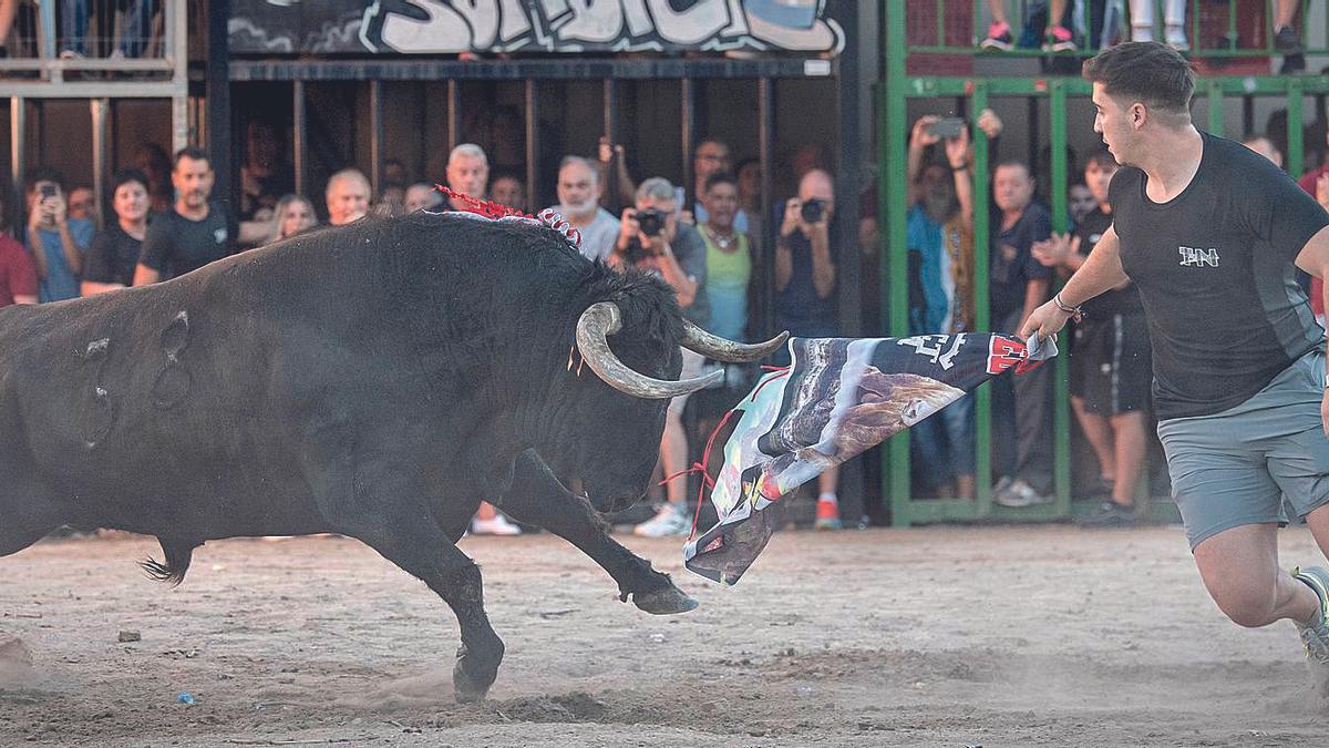 Almenara: Cartel de lujo con nueve toros cerriles