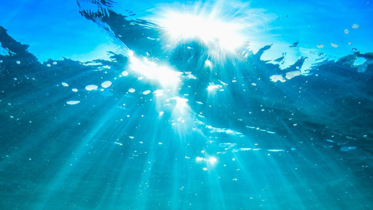 Objetivo: sacar a la luz el fondo del mar - La Opinión de Murcia