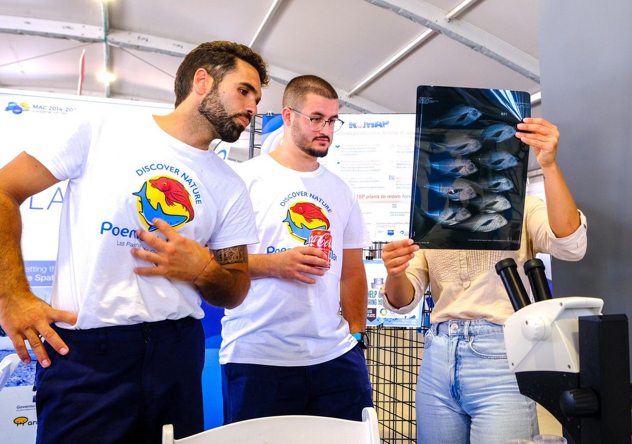 FIMAR 2023: Fimar 2023 abre sus puertas como gran referente de la ...