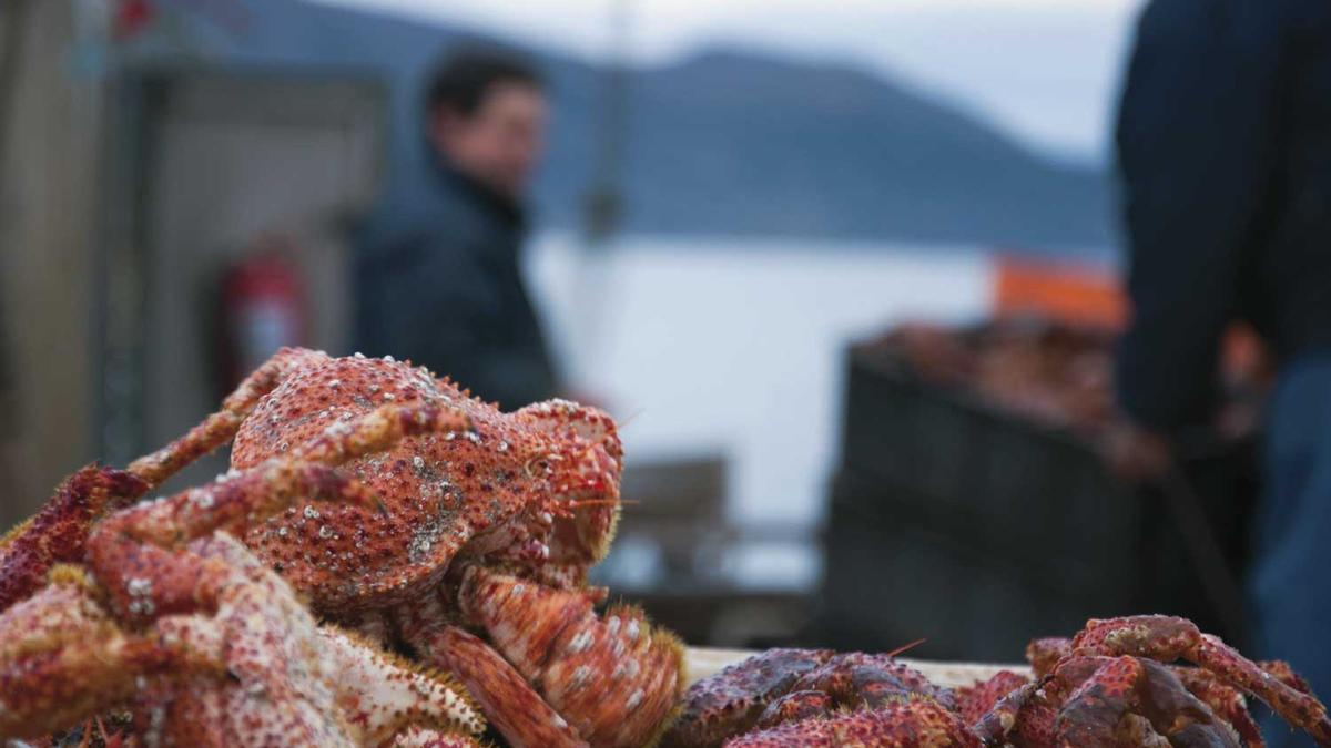 Los cinco favoritos de Reverte en Tierra de Fuego - Viajar