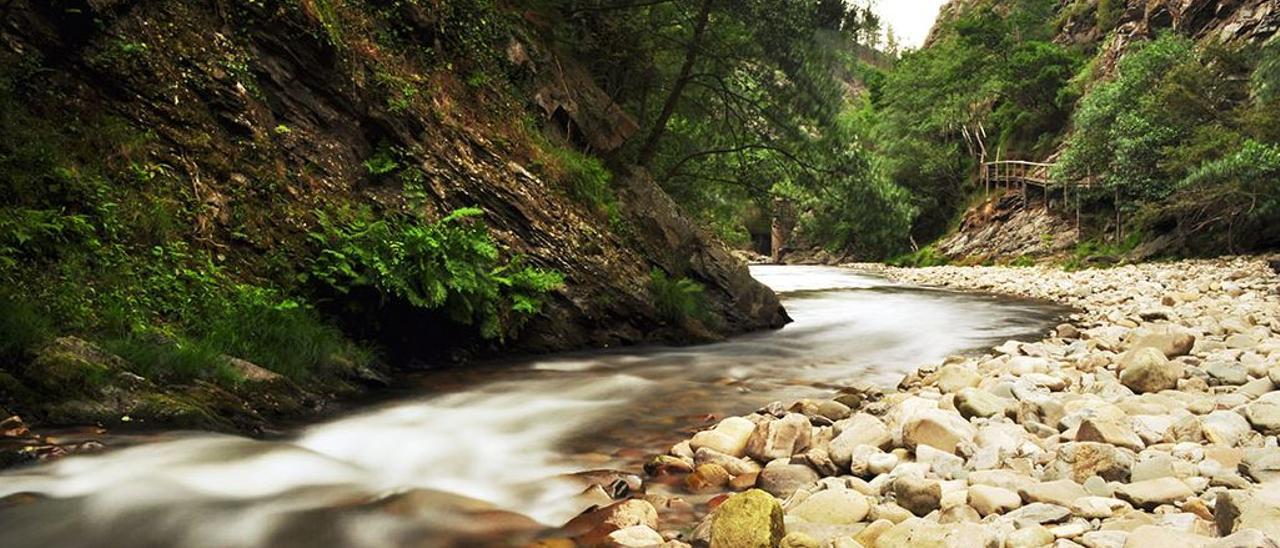 Rutas prestosas | Noticias de Rutas prestosas - La Nueva España