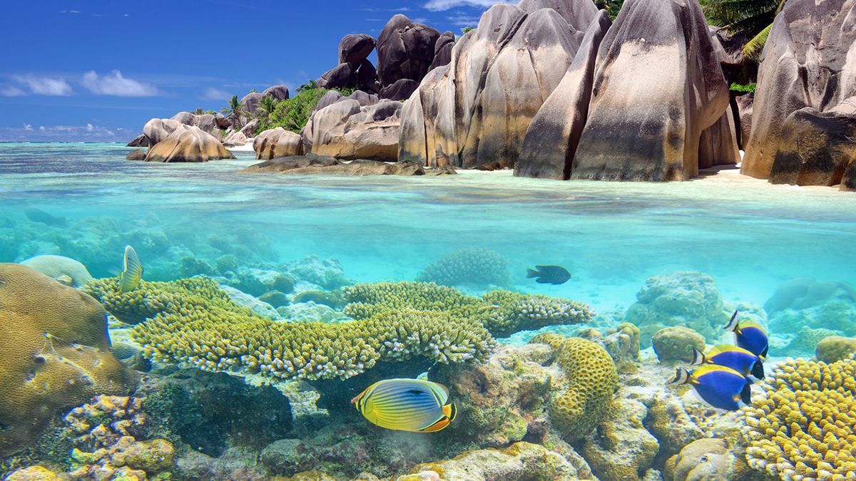 Los viajes ya no se reservan solo online: por qué las tiendas físicas ...