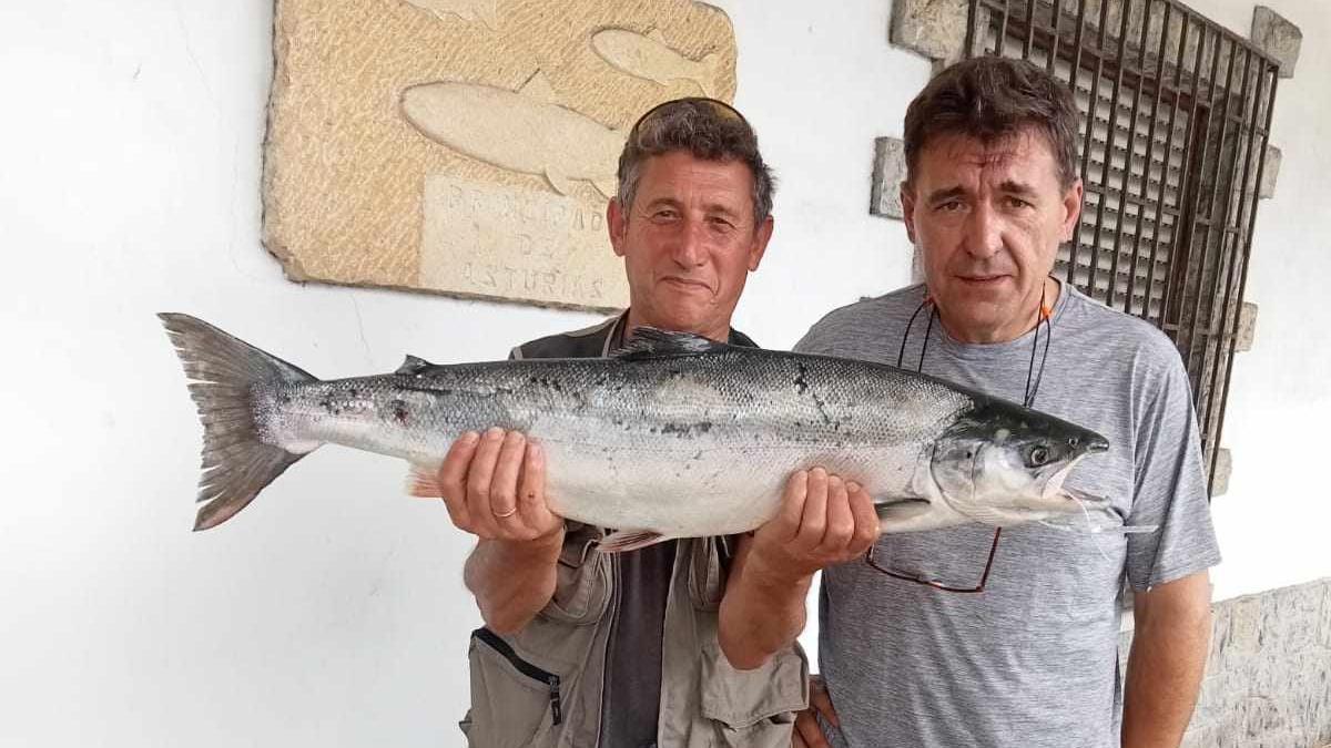 El riosellano Luis Lema captura un salmón a mosca artificial en El ...