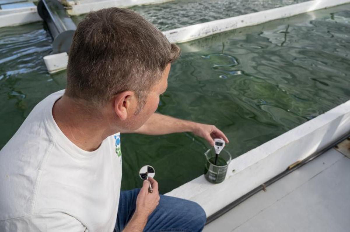 FOTOS | Microalgae Lab, la primera empresa en iniciarse en el cultivo ...