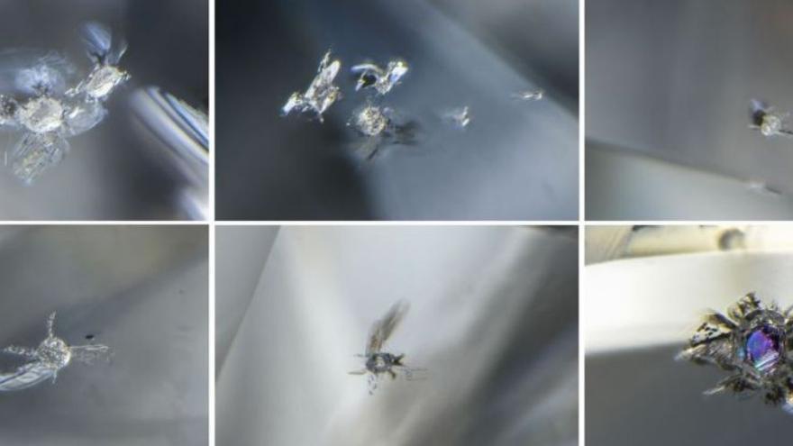 Un enorme "océano" existiría en las profundidades de la Tierra