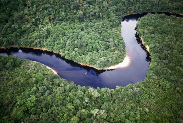 Río Orinoco, pulmón de Venezuela - Viajar