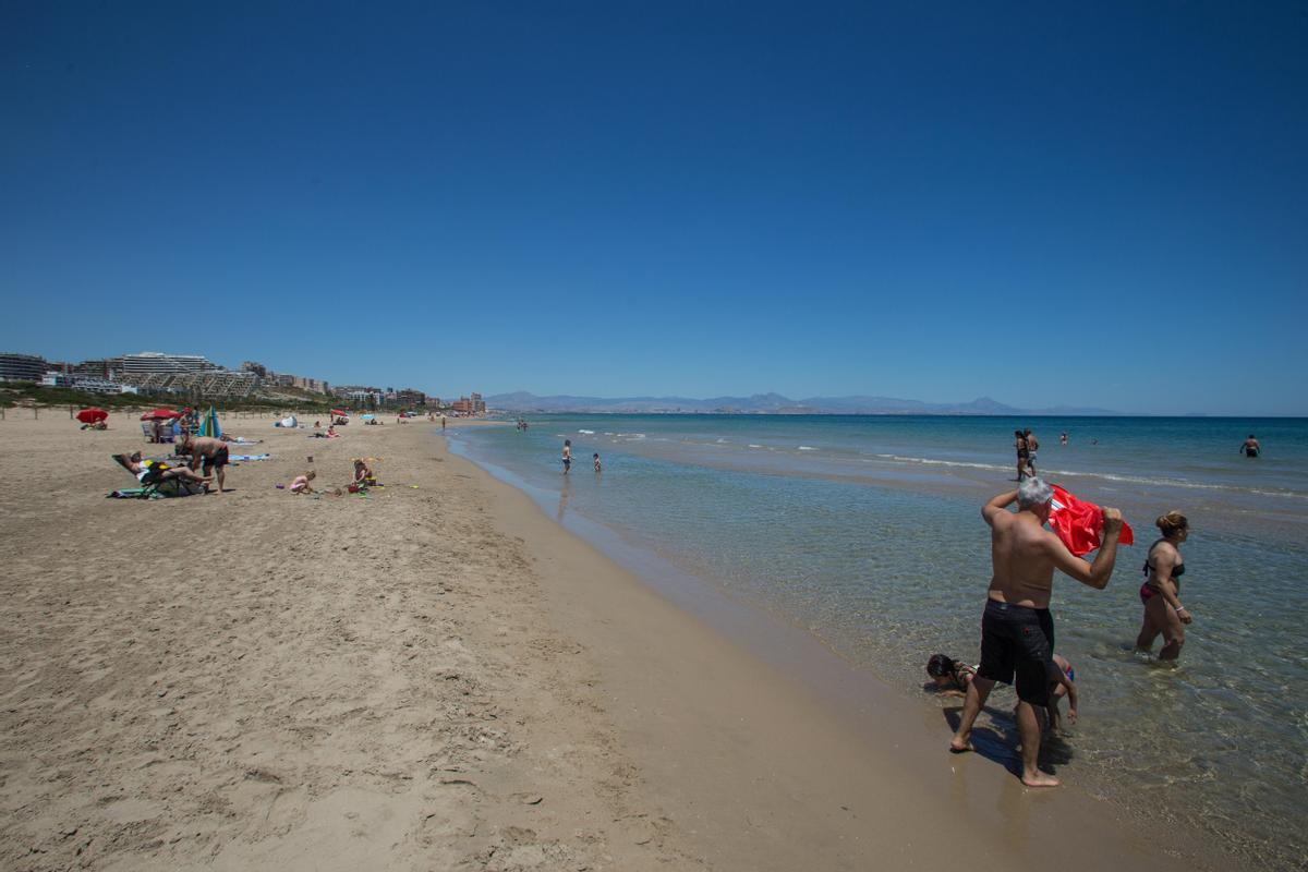 Hallazgo científico en las playas de Elche: dos investigadores ...