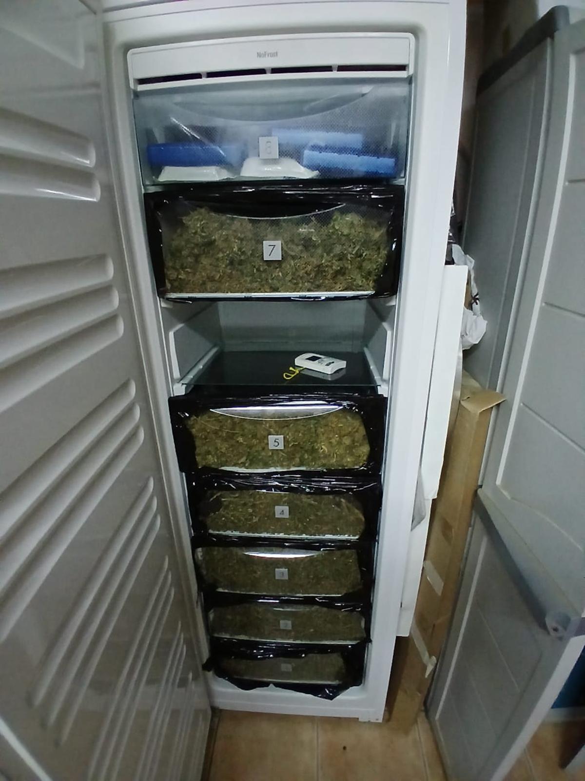 LLORET DE MAR | Detinguts tres joves per tenir un cultiu de marihuana ...