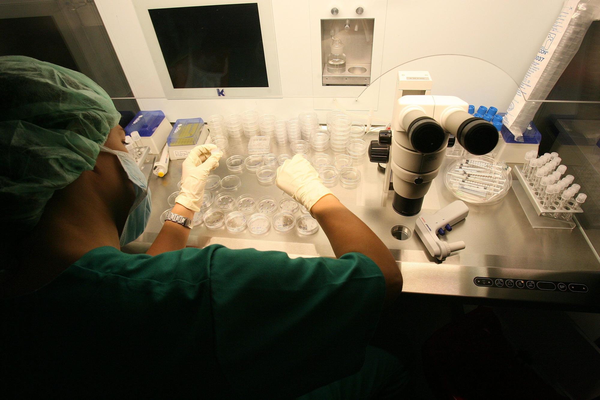 El gigante de la fertilidad IVI-RMA prepara su venta por 1.500 millones