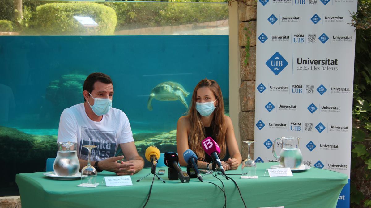 Hallan plásticos y metales pesados en tortugas marinas llegadas a Baleares