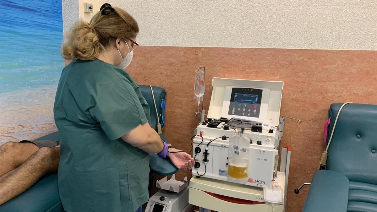 Logran en Málaga que personas inmunodeprimidas generen defensas ante el ...