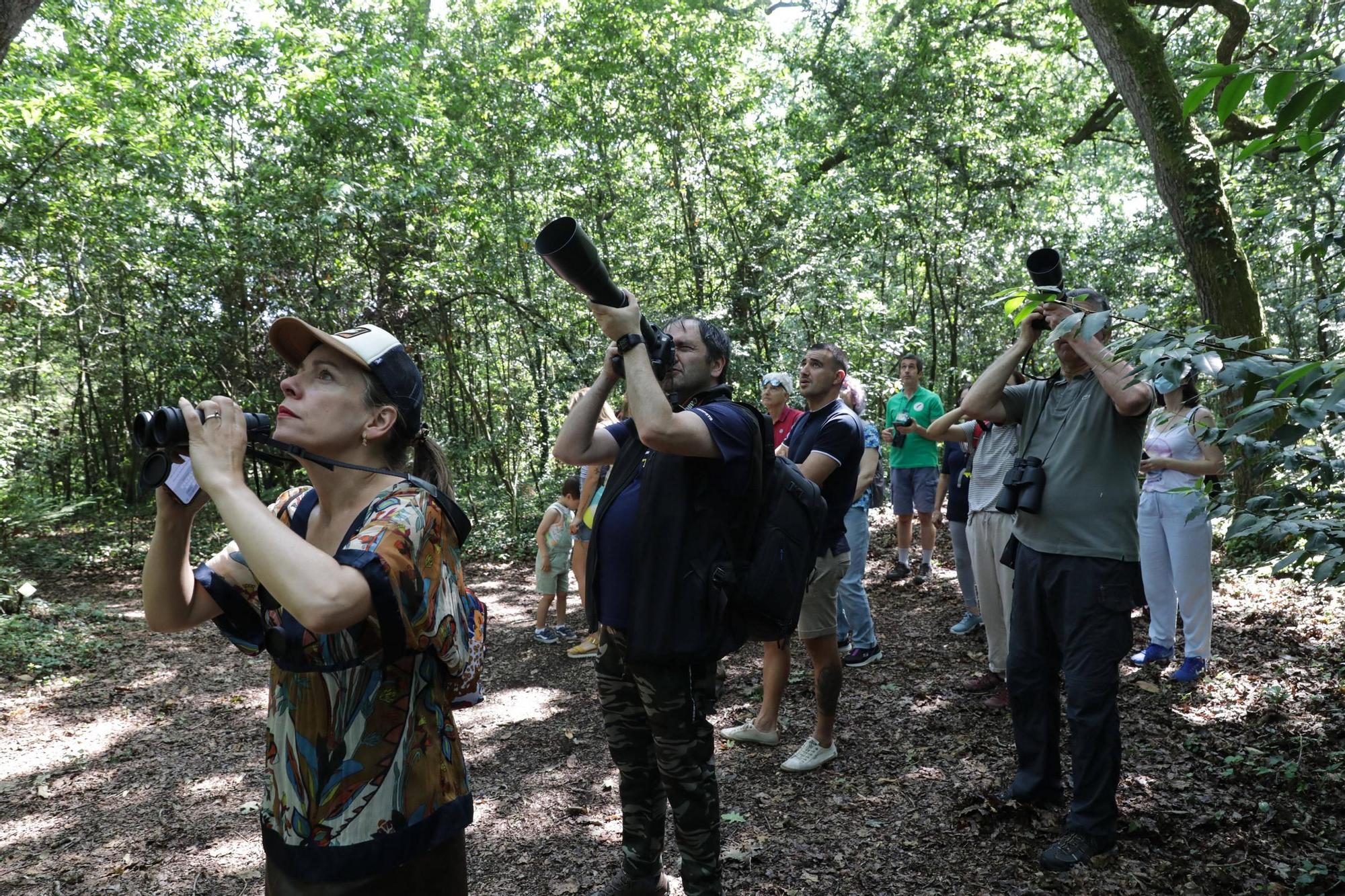 En imágenes: Observación de aves en el Jardín Botánico - La Nueva España