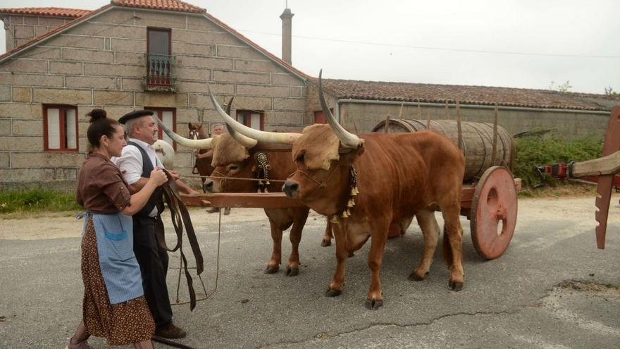 Los carros más bonitos se elaboran en la Festa do Labrego
