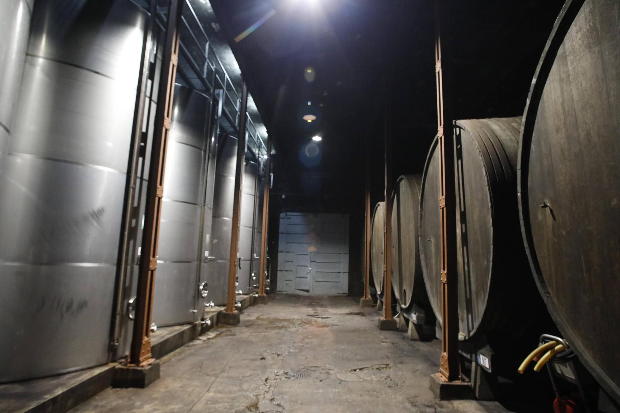 Sidra Contrueces, premio "Oro" a la mejor sidra natural tradicional de ...